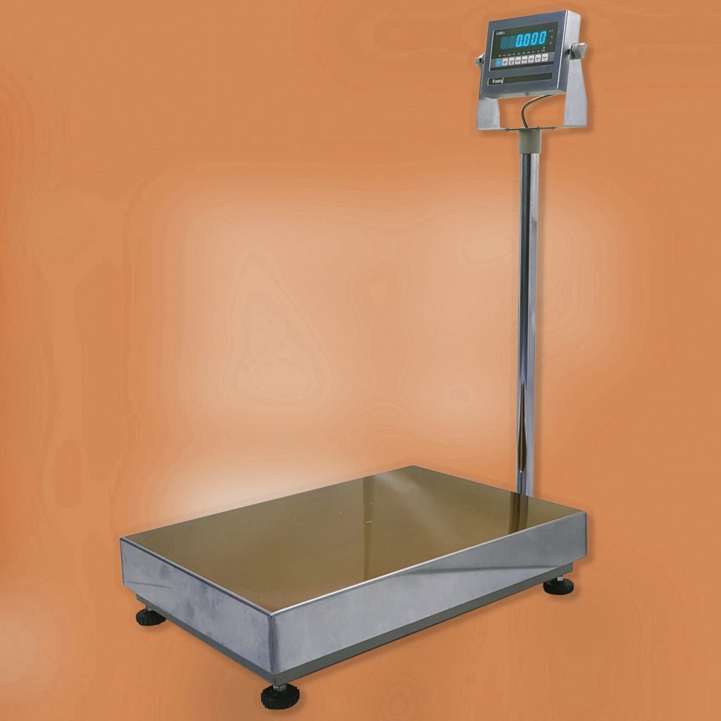 500X600 Platform Scale